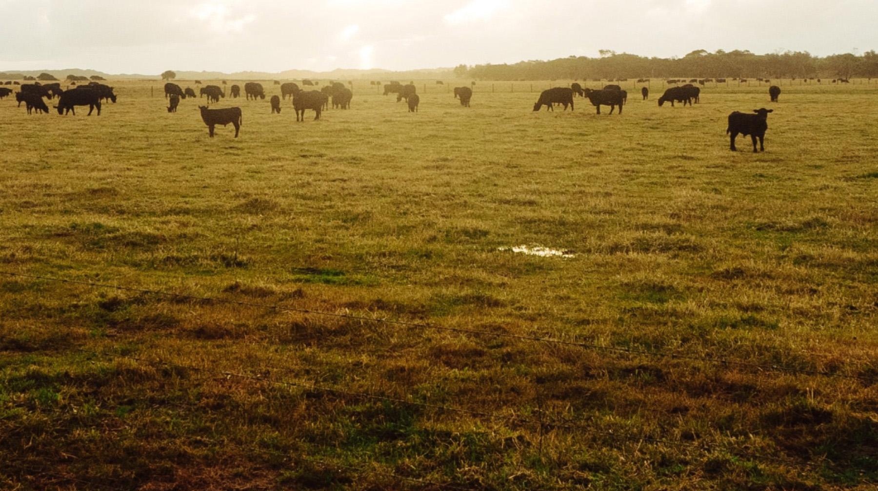 Australia is the smart move for skilled workers | Smart Move Australia